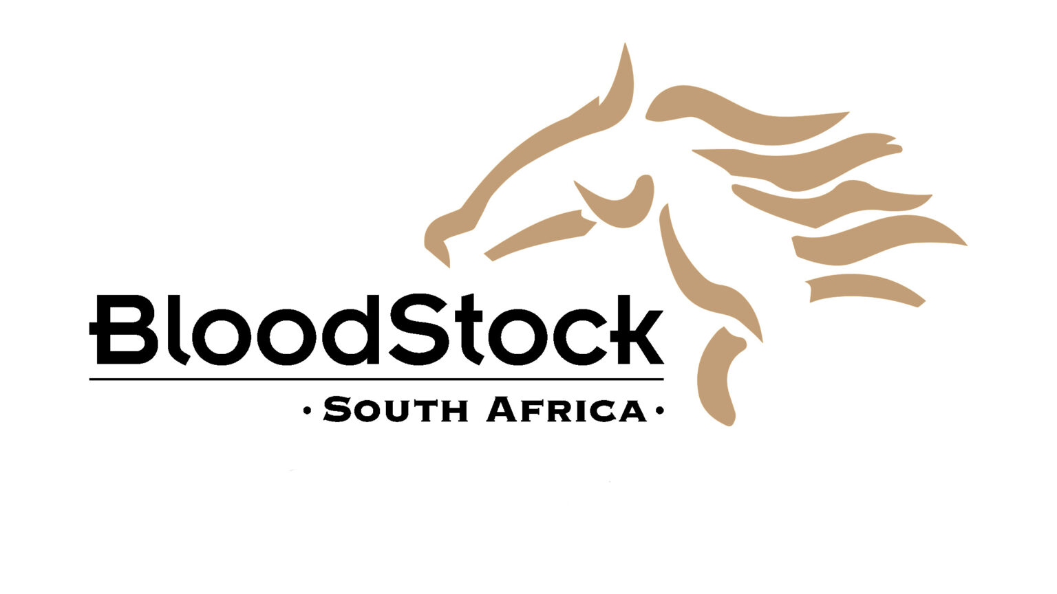 30% 24CARIOCA – Bloodstock Auction South Africa